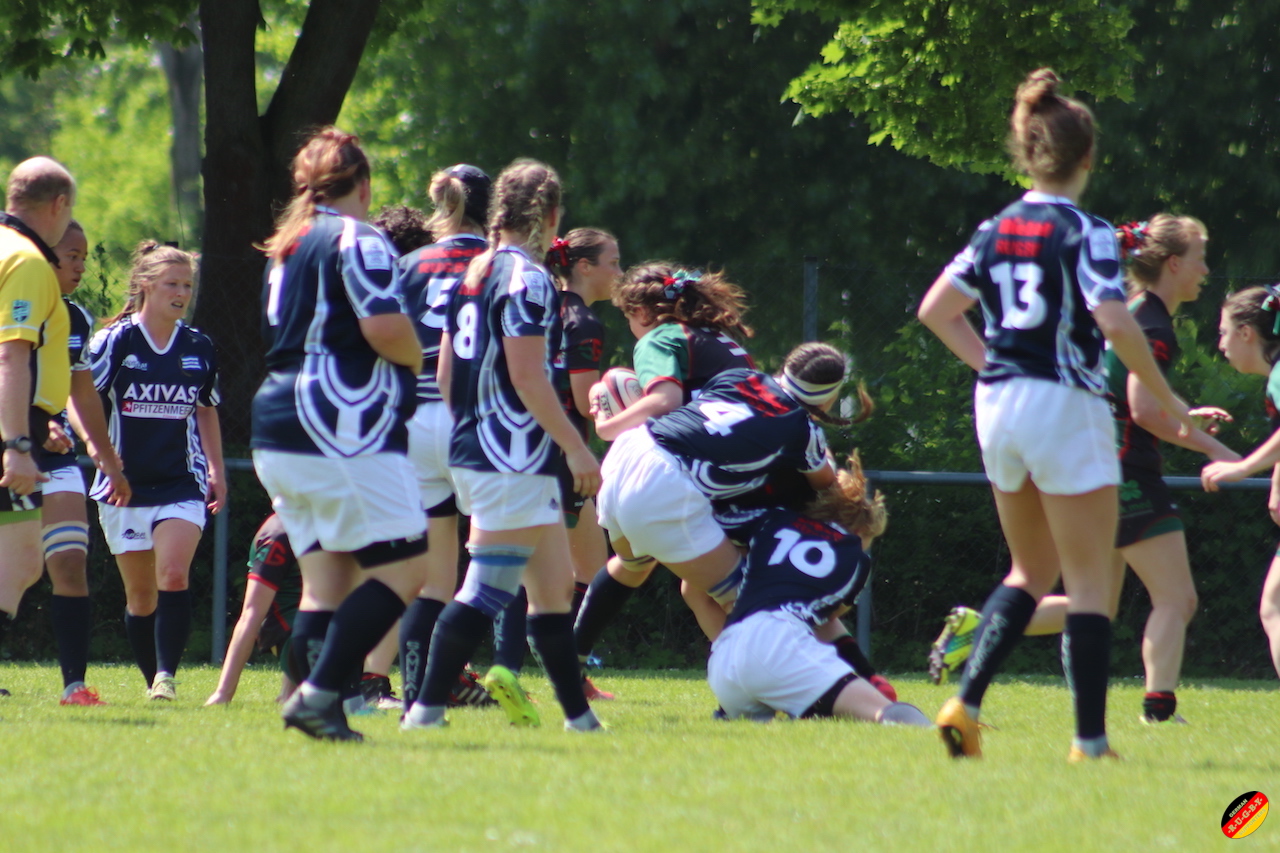 Damen des SC Neuenheim erreichen das Finale – Home of Quandoz