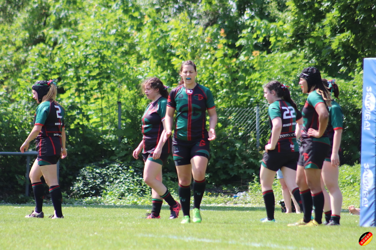 Damen des SC Neuenheim erreichen das Finale – Home of Quandoz