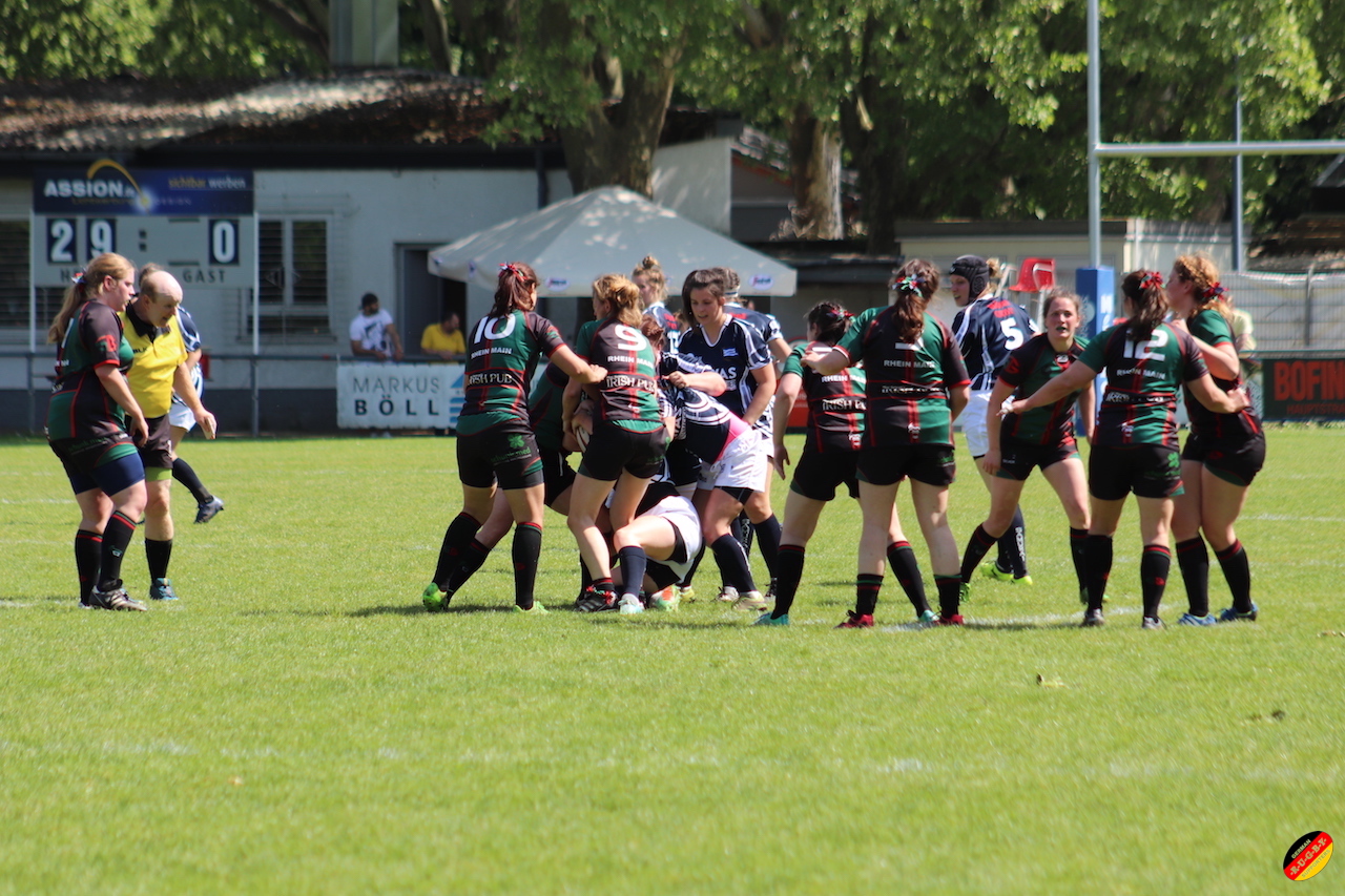 Damen des SC Neuenheim erreichen das Finale – Home of Quandoz